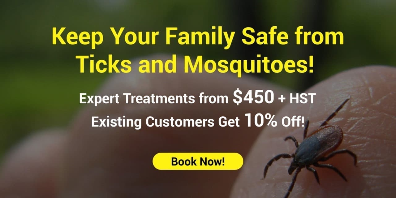 Protect Your Family from Early-Season Ticks: Icon Pest Control Can Help
